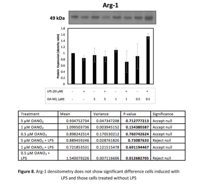 Effects of Nitro-Oleic Acid on RAW-Blue™ Cell Activity - NHSJS