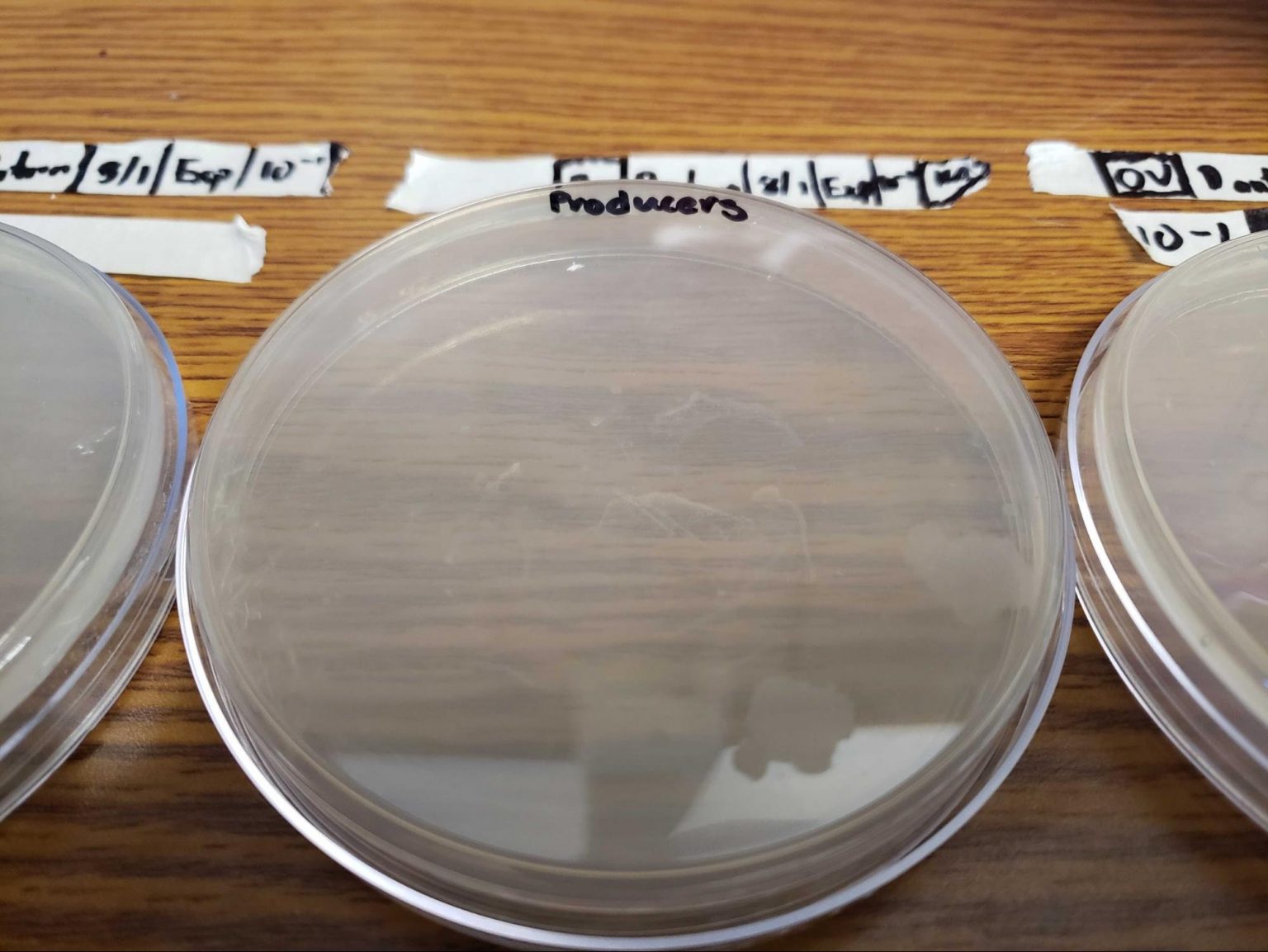 Analysis of Packaged Milk Quality Using Coliforms as Indicators - NHSJS