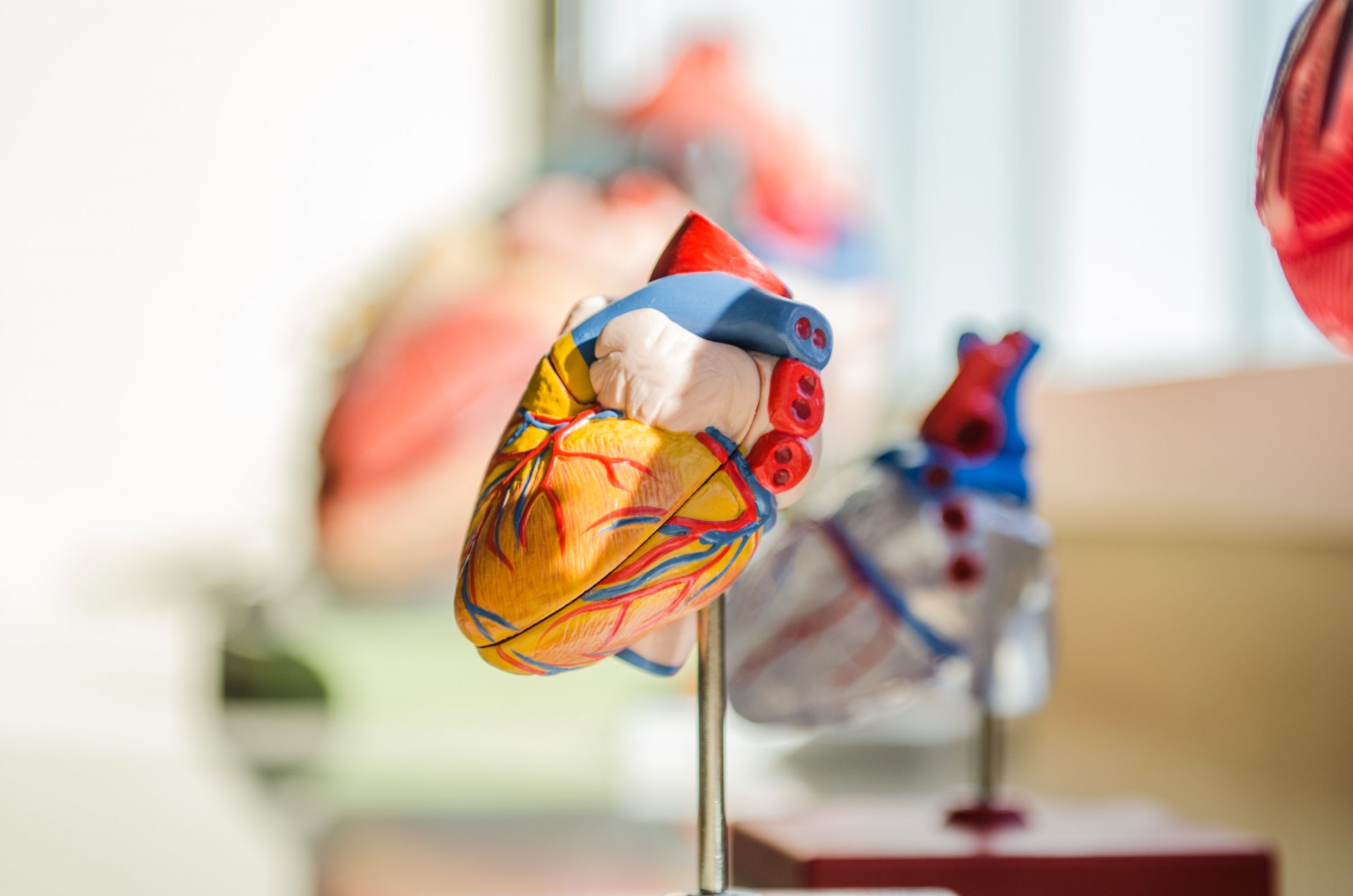 A NOVEL METHOD OF ELECTROSPINNING A KERATIN CARDIOVASCULAR SUTURE - NHSJS