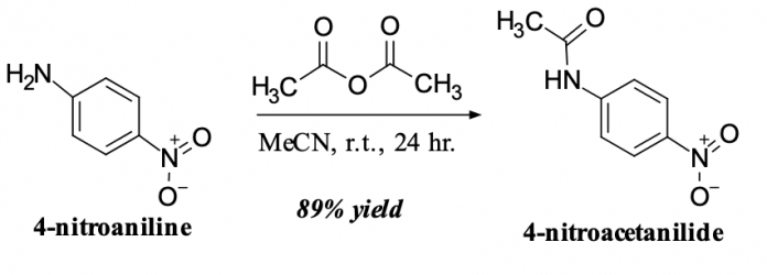 Tracking Enzymatic Hydrolysis of an Amide Bond Using Highly Simplified ...