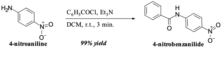 Tracking Enzymatic Hydrolysis of an Amide Bond Using Highly Simplified ...