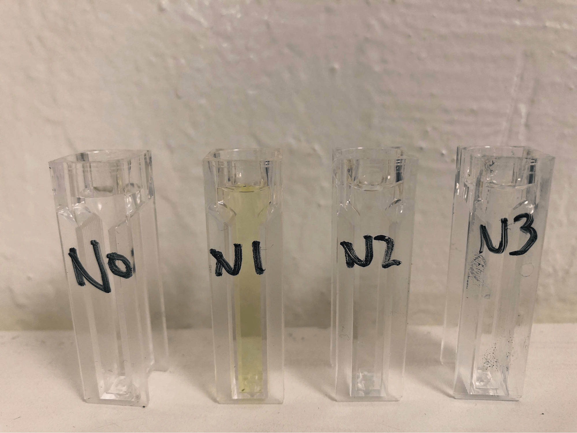Tracking Enzymatic Hydrolysis of an Amide Bond Using Highly Simplified ...