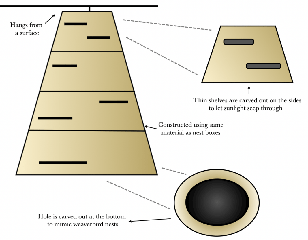 Implementing Architectural Features of Bird Nests To Enhance Bird ...