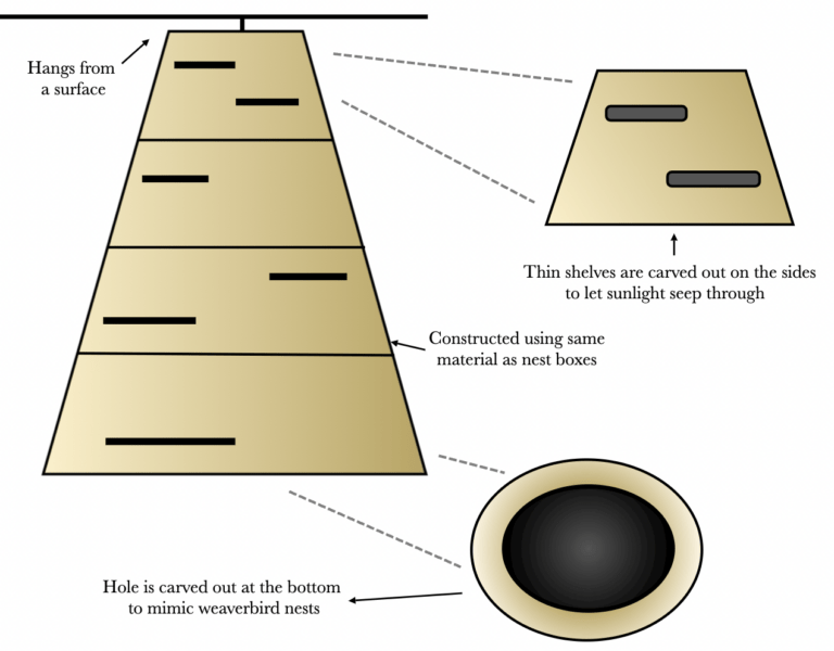 Implementing Architectural Features of Bird Nests To Enhance Bird ...