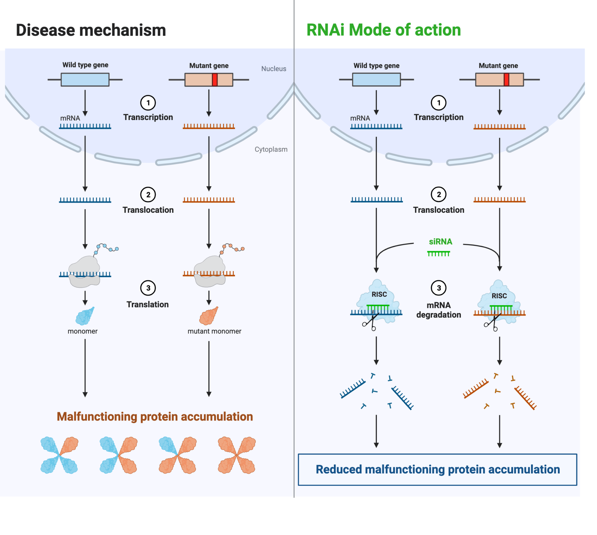 RNA Targeting Small Molecules for Neurological Diseases - NHSJS
