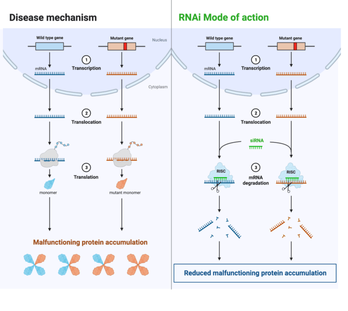 RNA Targeting Small Molecules for Neurological Diseases - NHSJS