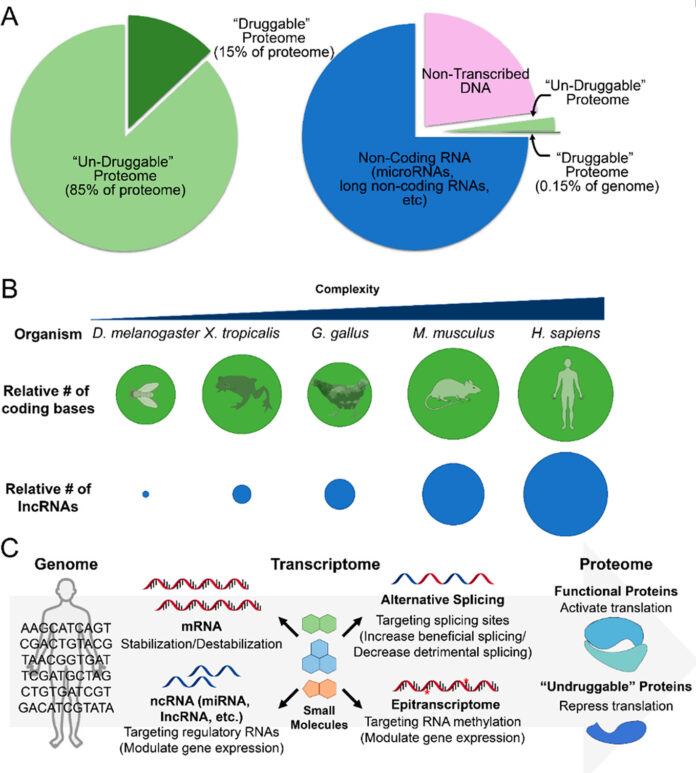 RNA Targeting Small Molecules for Neurological Diseases - NHSJS