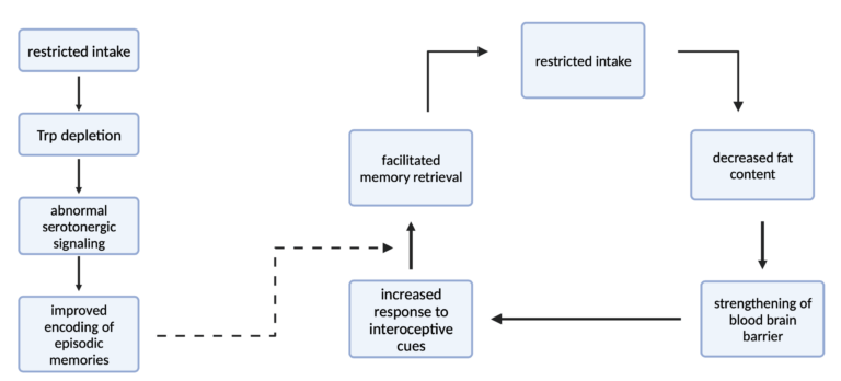 Neurobiological Mechanisms of Restrictive Eating Behaviors: A ...