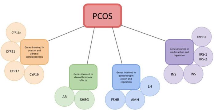 Exploring Hormone Regulation-Associated Genes as Novel Targets for Gene ...
