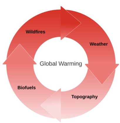 A Comparative Analysis of Machine Learning Models for Wildfire Prediction - NHSJS