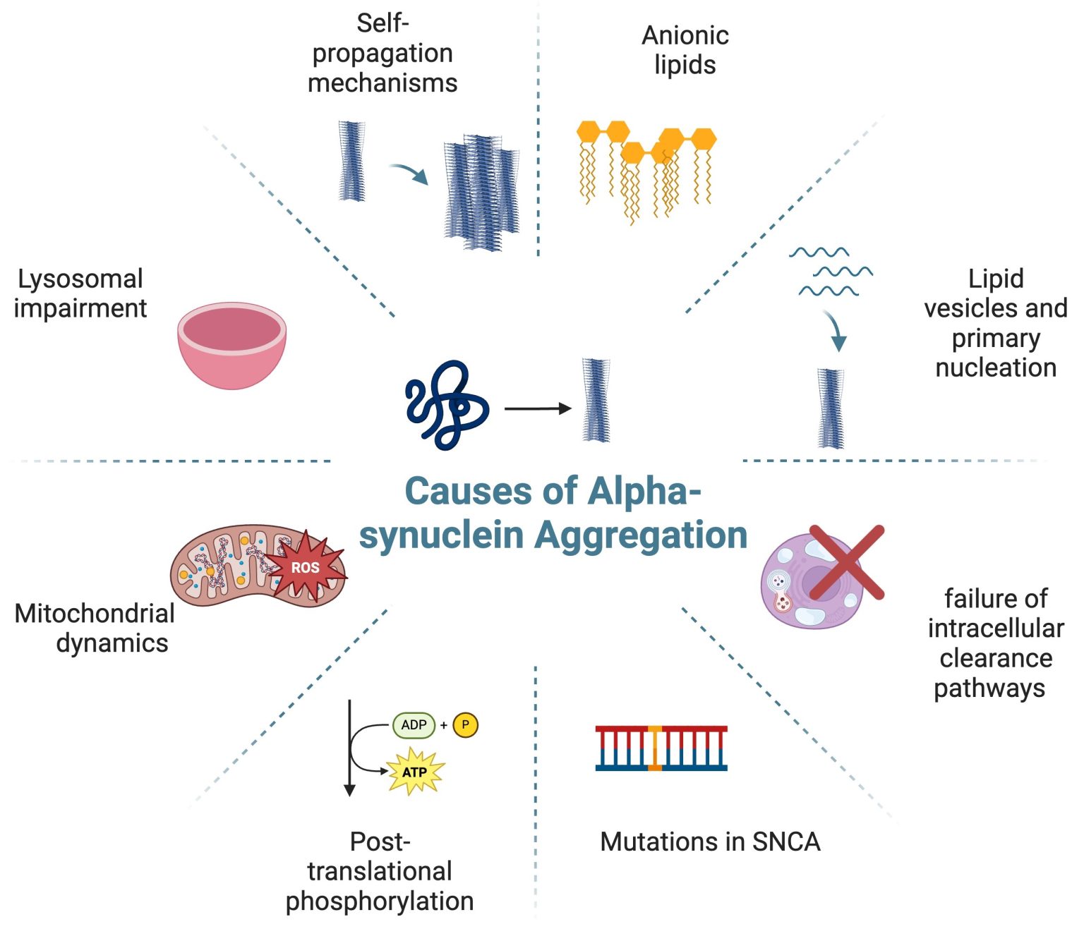Exploring Ambroxol’s Potential as a Repurposed Treatment Avenue for ...