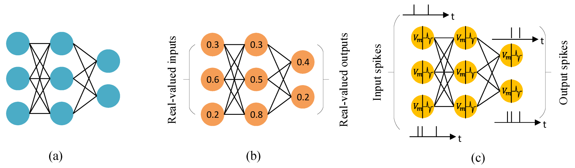 Advancements in Image Classification: Comparing Spiking, Convolutional, and Artificial Neural ...