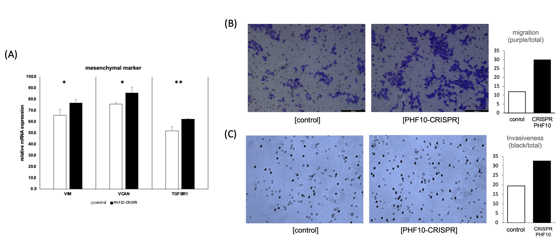 Downregulation Of PHF10 Promotes Proliferation, Migration and ...