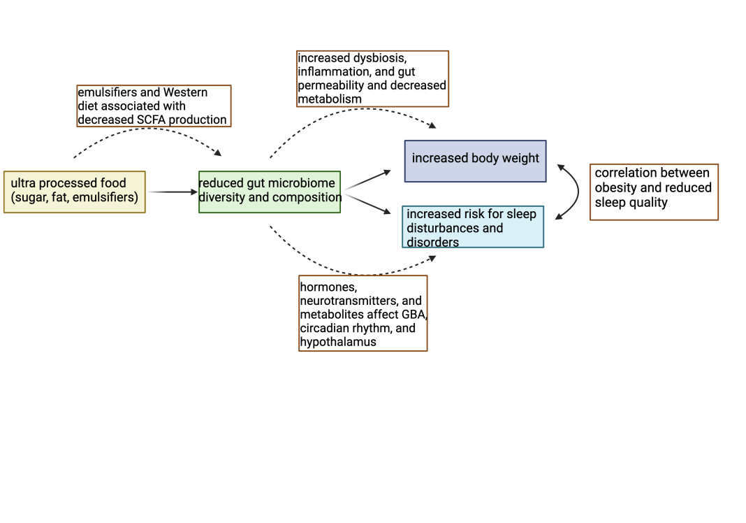 The Role of the Gut Microbiome and Ultra Processed Food in Obesity and ...