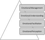 Social Emotional Learning and The Indian Curriculum of Education - NHSJS