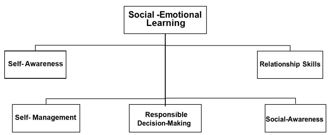 Social Emotional Learning and The Indian Curriculum of Education - NHSJS