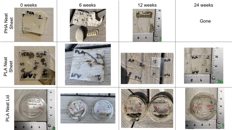 The Effect of Enzymatic Degradation on PLA Home-Compostability to ...
