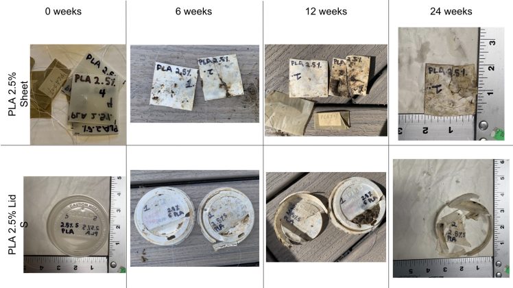The Effect of Enzymatic Degradation on PLA Home-Compostability to ...