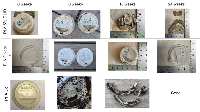 The Effect of Enzymatic Degradation on PLA Home-Compostability to ...