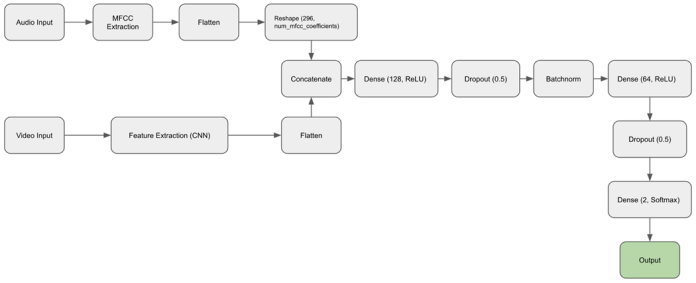 Enhancing Lie Detection In Video-Based Speech Through Machine Learning - NHSJS