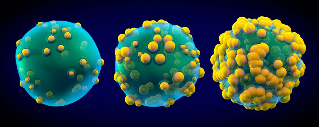 Survey of Lipid Nanoparticles Characteristics and Conjugates on the ...