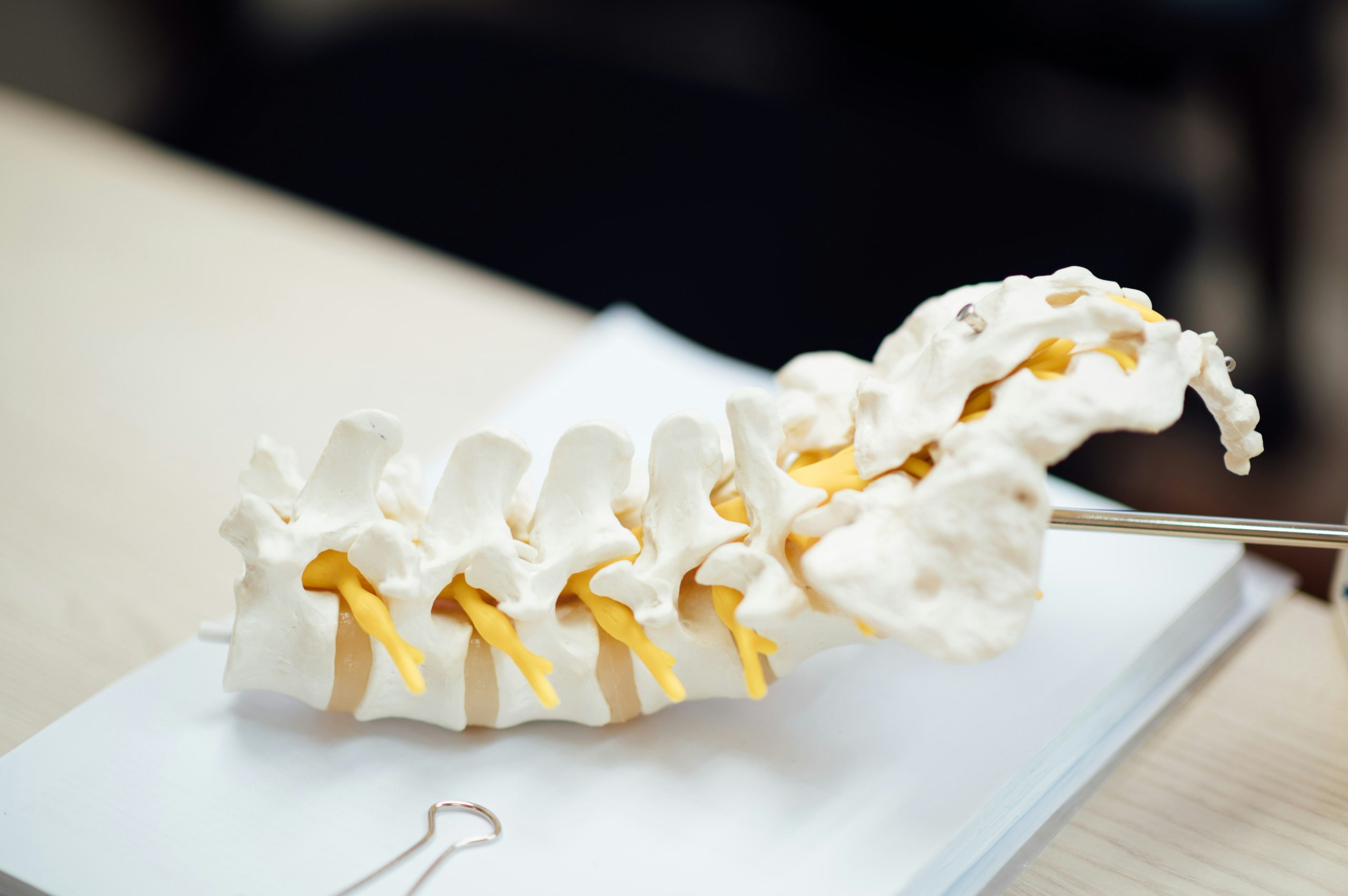 3D-Printed Hip Implants for Complex Anatomical Cases - NHSJS