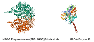 Examining the role of Acetylcholinesterase, Butyrylcholinesterase, and ...