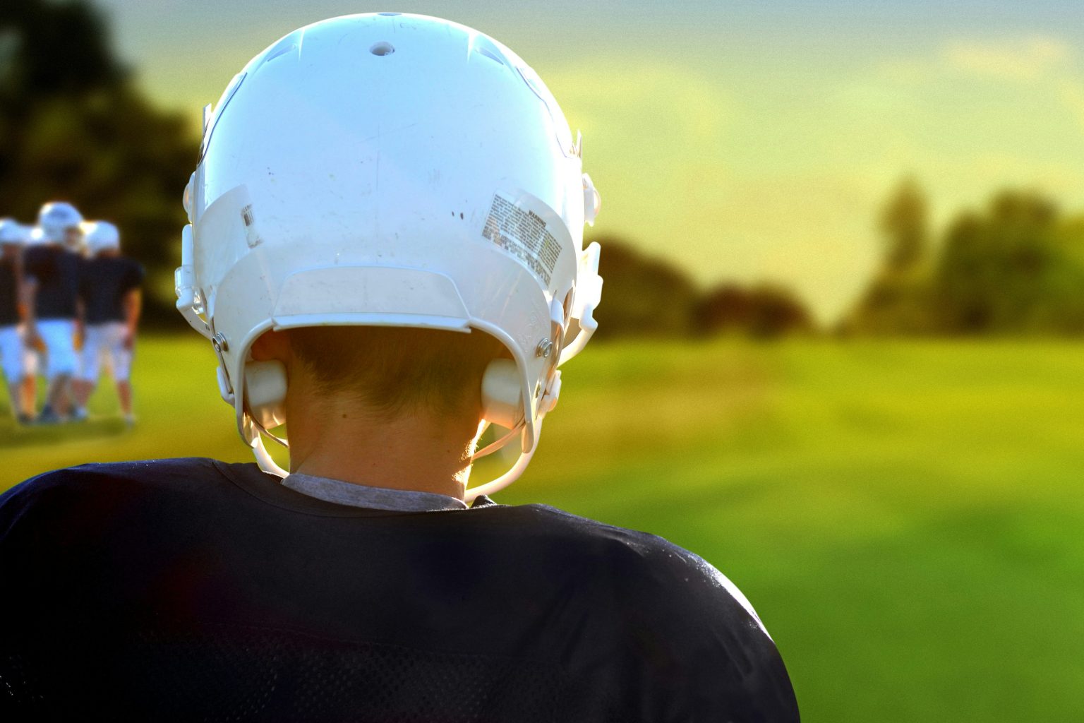 The NFL Concussion Litigation: A Multi-faceted Analysis of Ethics ...