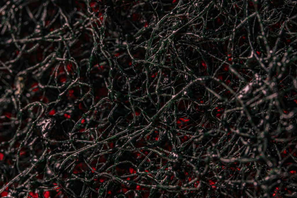 Usage of Nanoparticles to Infiltrate the Blood Brain Barrier Against ...