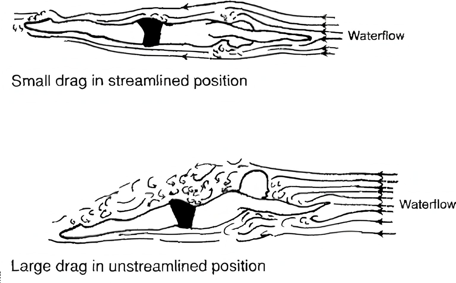 Modeling for Optimizing the Patterns of Swimming Strokes - NHSJS